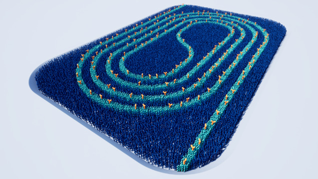 Building a rapid diagnostics photonic biosensor using vertical integration